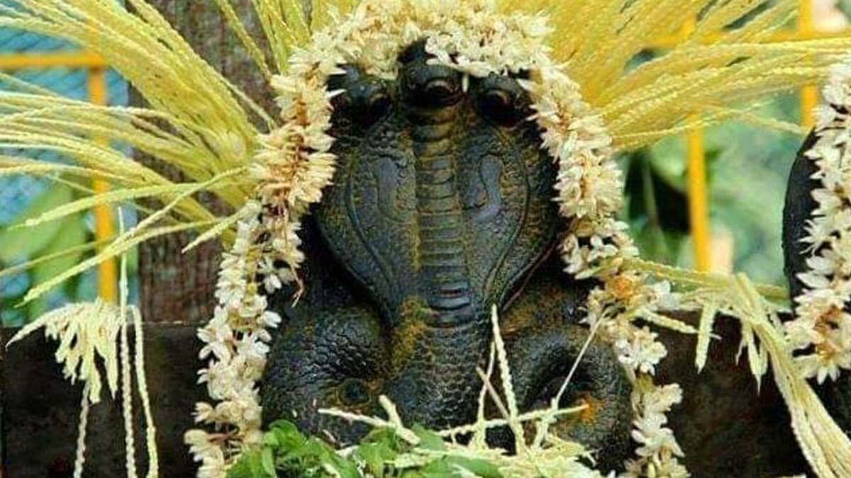 വ്യാഴാഴ്ച മകരത്തിലെ ആയില്യം; എല്ലാ ദുരിതങ്ങൾക്കും പരിഹാരം – Neram Online